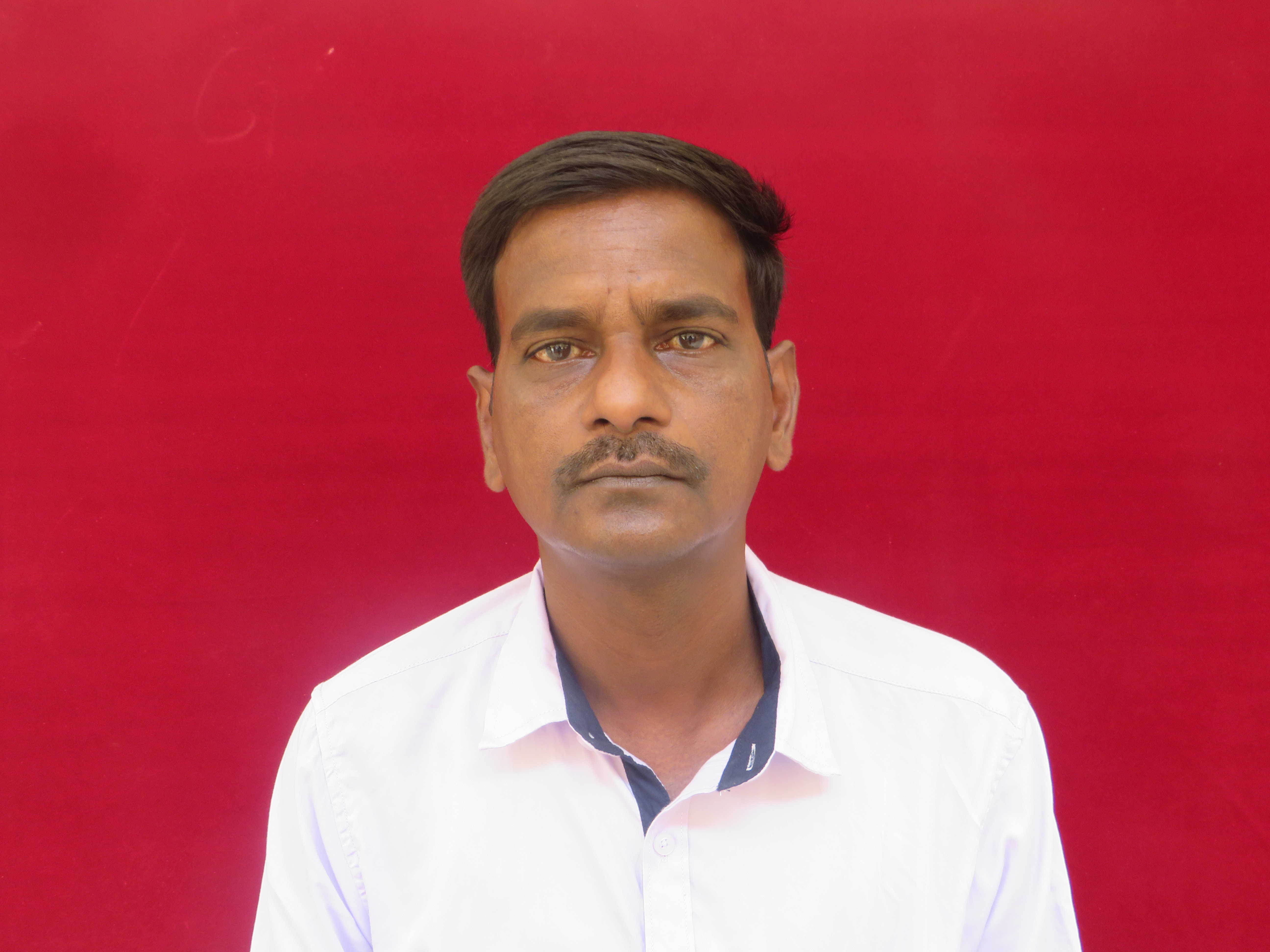 Faculty & Staff